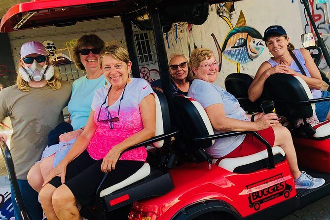 1 Hour WYNWOOD BUGGIES tour - Value and Pricing