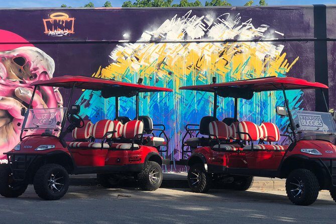 1 Hour WYNWOOD BUGGIES tour - FAQs About the Wynwood Buggies Tour