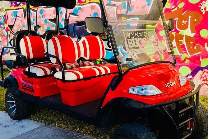 1 Hour WYNWOOD BUGGIES tour - Final Thoughts