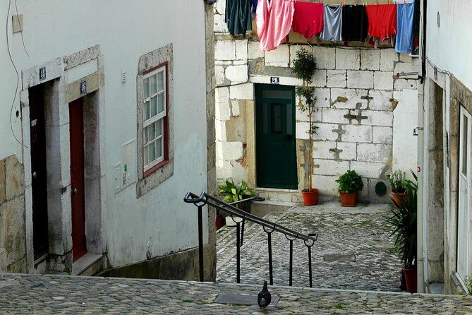 1 Hr City Tuk Tuk / Electric Car Tour of Lisbon - What Past Travelers Say