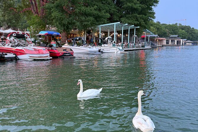 1 hr Lake Austin Boat Cruise. BYOB (Shared - Single Tickets) - Exploring the 1-Hour Lake Austin Boat Cruise: An Authentic Austin Experience