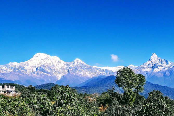 1 Night 2 Days Best Hiking in Pokhara - What to Expect from the Hiking Tour