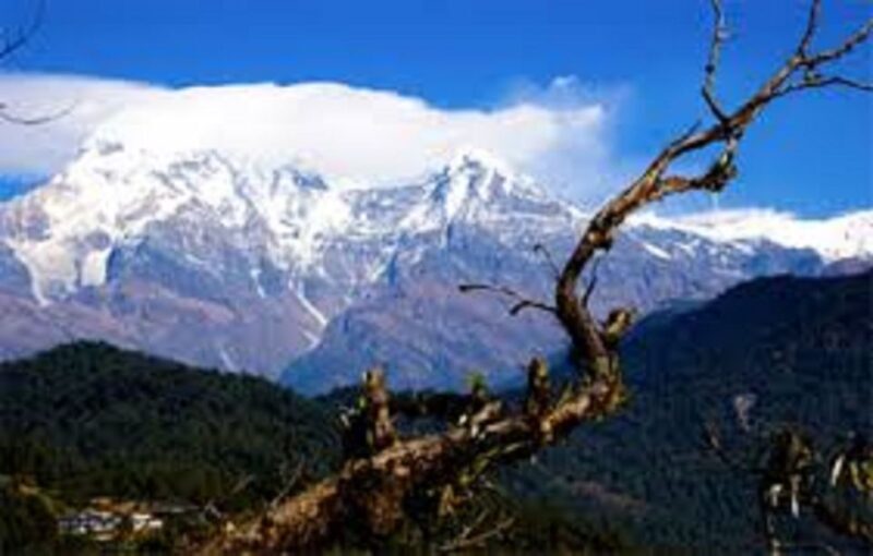1 Night 2 Days Camping Tour at Australian Camp (Trek) - What Makes This Tour Stand Out?