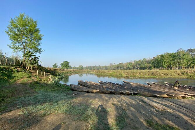 1 Night 2 Days Chitwan Jungle Safari Tour - Pricing and Value