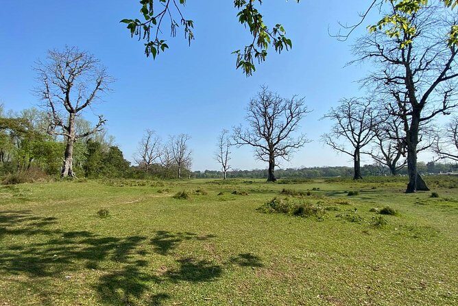 1 Night 2 Days Chitwan Jungle Safari Tour from Pokhara - Practical Tips for Your Trip
