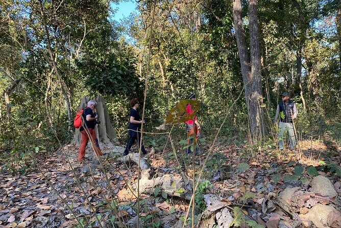 1 Night 2 Days Chitwan Jungle Safari Tour from Pokhara - Who Is This Tour Best For?
