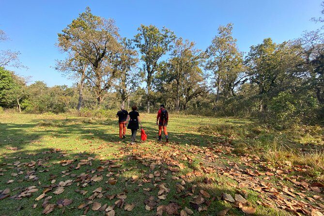 1 Night 2 Days Chitwan Jungle Safari Tour from Pokhara or Kathmandu - Introducing the Chitwan Safari: What to Expect