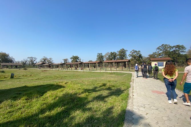 1 Night 2 Days Chitwan Jungle Safari Tour from Pokhara or Kathmandu - Practical Tips for Your Trip