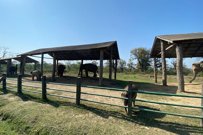 1 Night 2 Days Chitwan Safari Tour - Who Should Consider This Tour?