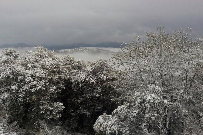 1 Night 2 Days Daman Tour - Who Is This Tour Best For?