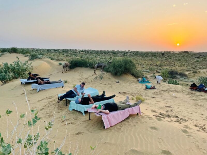 1 night 2 days Thar Desert Experience Jaisalmer - Key Points