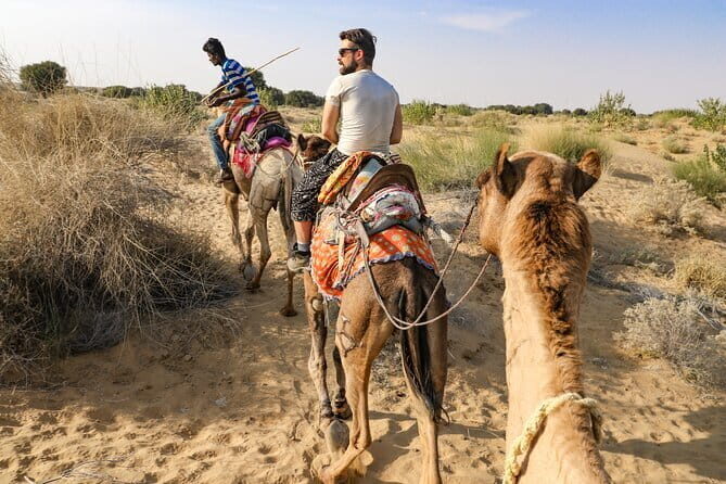 1-Night and 2-Days Thar Desert Safari Tour - An In-Depth Look at the Thar Desert Safari Experience