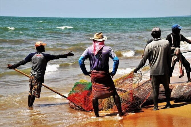 1 Night Fishing Village Experience In Kalpitiya From Colombo - A Closer Look at the Tour Itself