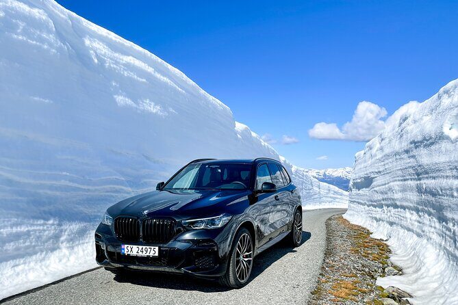 1 night Hardangerfjord Private Fjord-cruise - Who Is This Tour Best For?