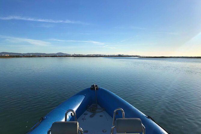 1 or 2 Hour Speed Boat Tour - Ria Formosa - An In-Depth Look at the Speedboat Tour