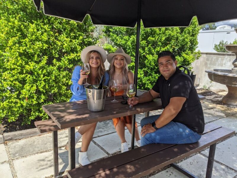 #1 Rated Wine Tour In Fredericksburg Texas - Introduction