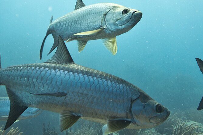 #1 Recommended Family Friendly Guided Fishing Charter Service - Frequently Asked Questions