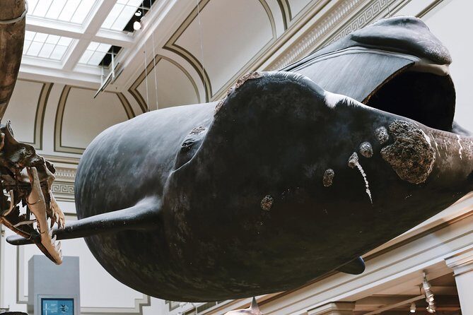 #1 Smithsonian Museum of Natural History | Satisfaction Guarantee - FAQ
