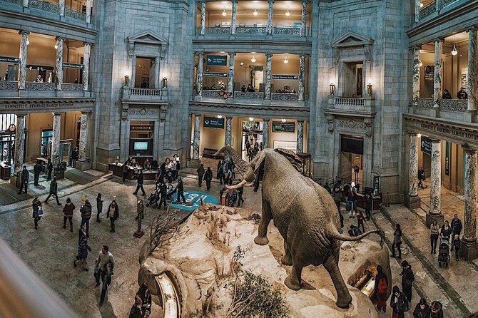#1 Smithsonian Natural History + American History Museum Tour - Key Points