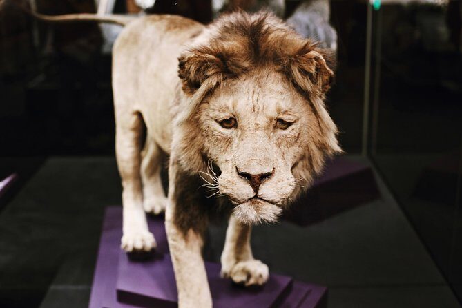 #1 Smithsonian Natural History + American History Museum Tour - Deep Dive into the Itinerary