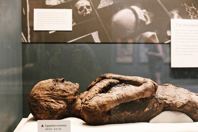 #1 Smithsonian Natural History + American History Museum Tour - Why This Tour Is Worth It