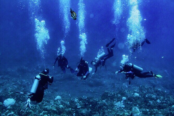 1 Tank Shore Dive at Sea Turtle Cove - FAQs