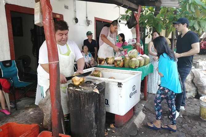 1 to 6 Passengers Vallarta Private City Tour - Final Thoughts