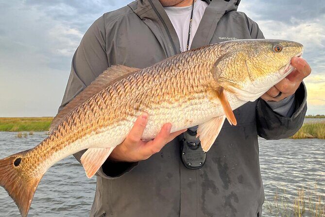 #1 Top Rated - Calm Water Inshore Fishing Charter In Your Area - The Experience: A Deep Dive into Sarasota’s Saltwater Charm