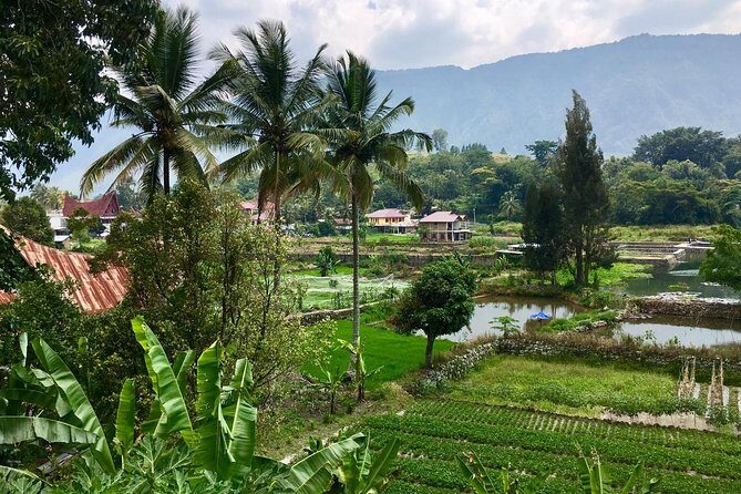 1 week private round trip North Sumatra - Day 4: From Jungle to Highlands