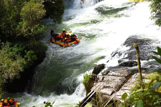 10 Day North to South Island NZ Private Tour from Auckland - Final Thoughts