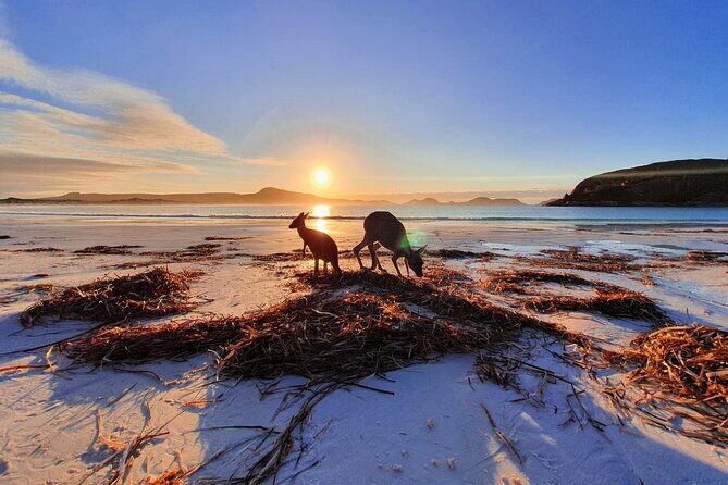 10-Day Perth to Adelaide Adventure Tour - Practical Considerations and Final Thoughts