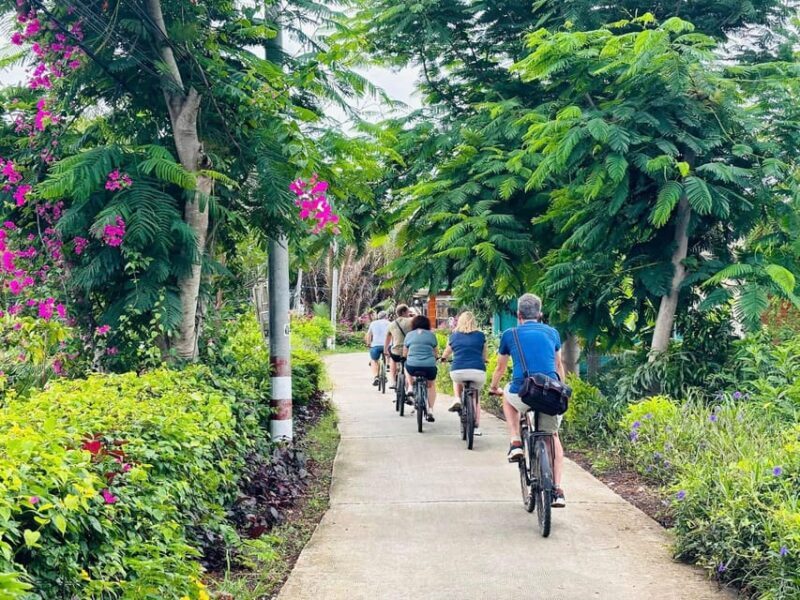 10-Day Vietnam Itinerary: Discover Vietnams top attractions - Who Is This Tour Best For?