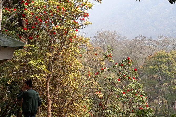10 days Annapurna Base Camp Trek - Day 5: To Deurali