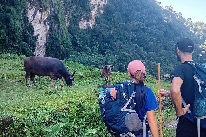 10 Days Annapurna Basecamp Private Trekking from Pokhara - Who This Tour Is Best For