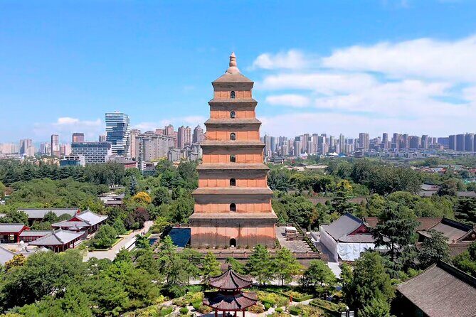 10 Days Beijing Xi'an Guilin Shanghai Multi Day Tour - Practicalities and Value