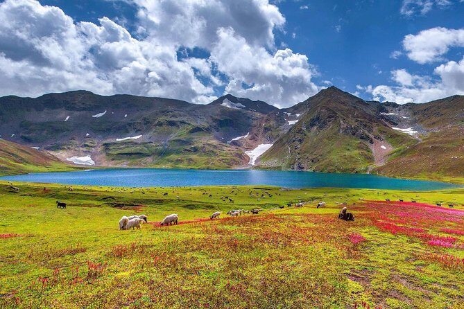 10 Days Hunza Nagar Naltar Valley Experience - Introduction to the Hunza Nagar Naltar Valley Tour