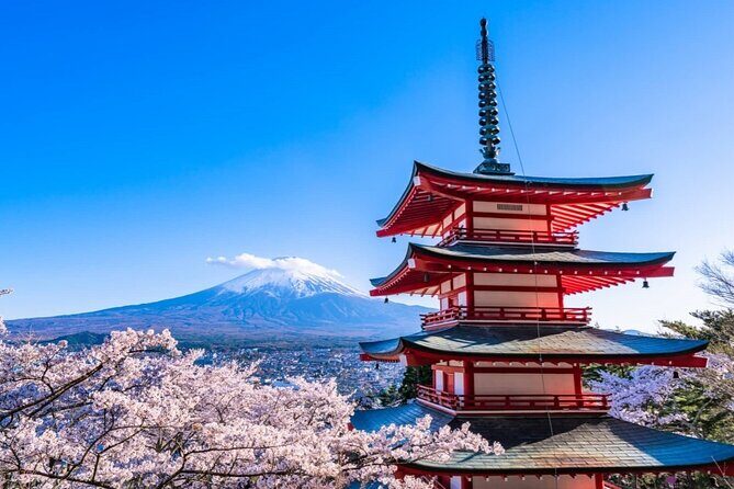 10 Days Japan Family Private Tour - Who Is This Tour Best For?