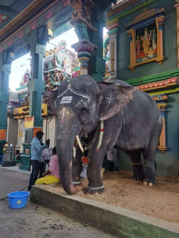 10 Days Private Car and Driver Tour of Tamilnadu & Kerala !! - An In-Depth Look at the Itinerary and What You Can Expect