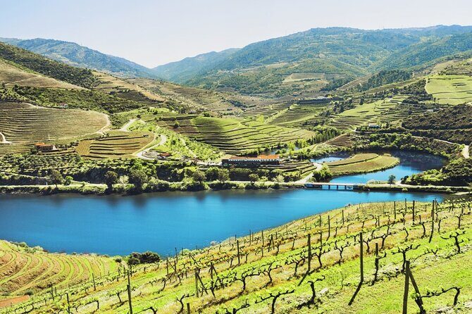 10-Days / Private Tailored Trip of Portugal (Best Highlights) - What Makes the Private Experience Stand Out