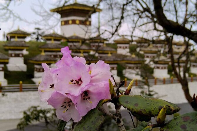 10 Days Private Tour in Central Bhutan - Starting in Paro and Thimphu