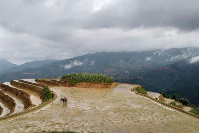 10 Days Private Tour in Secret Paths of Northern Vietnam - Day 6 & 7: Exploring Ha Giang and the Dong Van Plateau