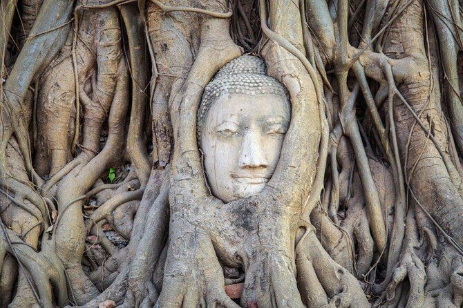 10 Days Thailand Grand Tour from Chiang Rai, Small Group - Key Points