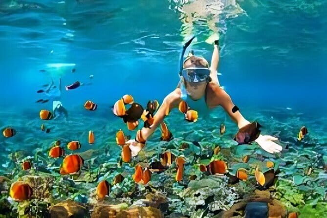 10 Days The Best of Bali Gilis and Nusa Penida Island Experience - An In-Depth Look at the Adventure