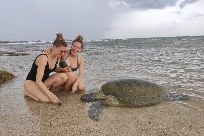 10 Days Tour in Sri Lanka (Hotels with Breakfast & Luxury Car) - Food, Comfort, and Practicalities