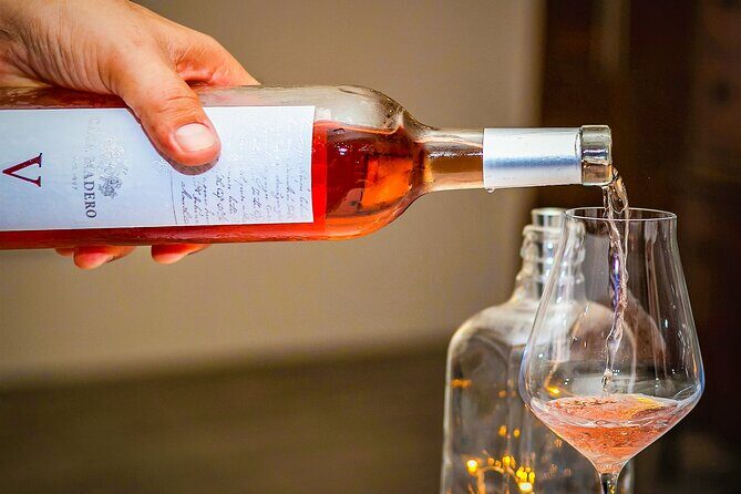 10 Experiences Tour: A Gastronomic Cultural Journey in Cozumel - 10 Experiences Tour: A Gastronomic Cultural Journey in Cozumel