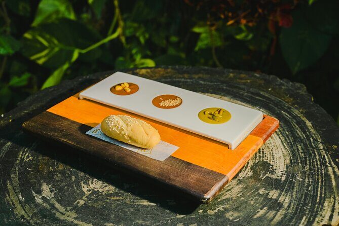 10 Experiences Tour: A Gastronomic Cultural Journey in Cozumel - The Itinerary and What to Expect