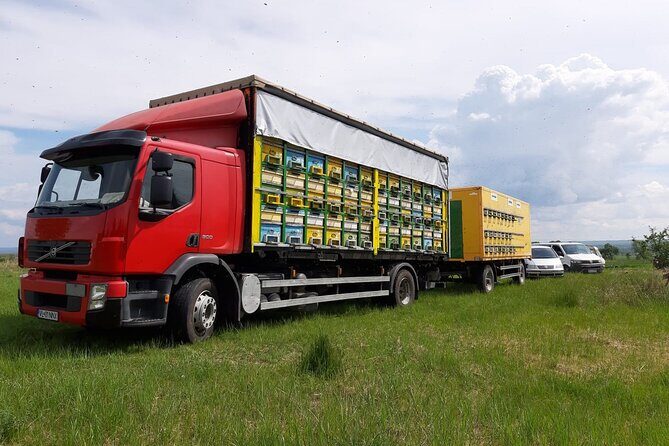 10 hours Private Apiary Tour in Romania - From Bucharest - An In-Depth Review of the Apiary Tour Experience