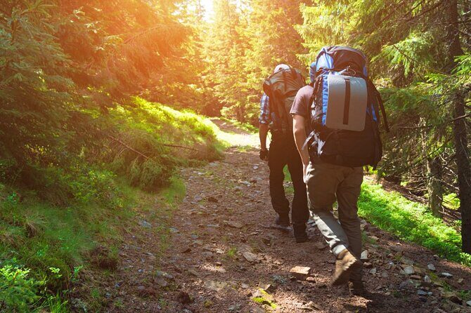 10 Hours Private Hiking in Khao Yai National Park From Bangkok - Analyzing the Value: Is It Worth It?