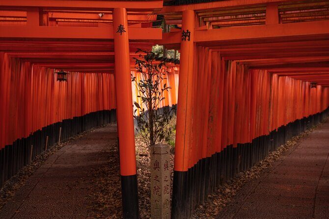 10 Must-see Spots in Kyoto One Day Private Tour (up to 7 people) - FAQ