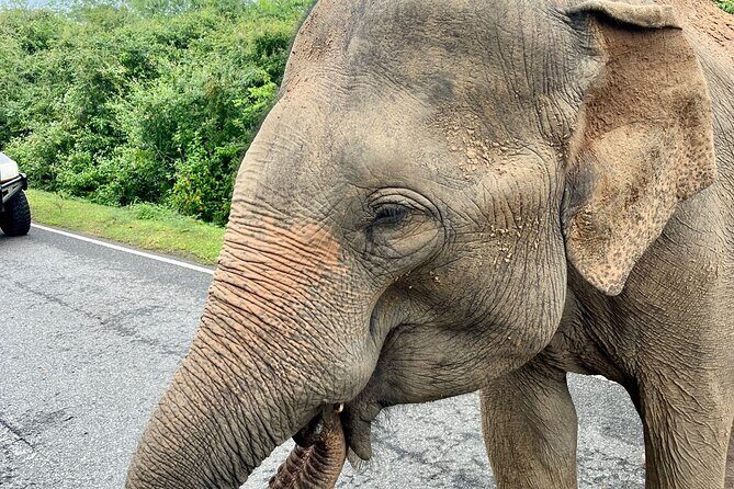 10 Nights 11 Days Sri Lanka, All Inclusive Private Guided Tour - Discovering Sri Lanka’s Treasures